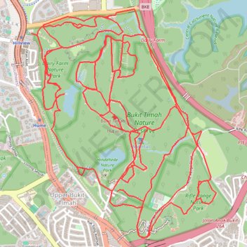 Bukit Timah Nature Reserve: trail, distance, elevation, map, profile ...
